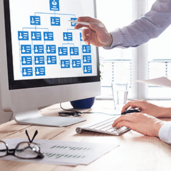 Organization chart | APG Logpac | Innovative Pharmaceutical Packaging ...